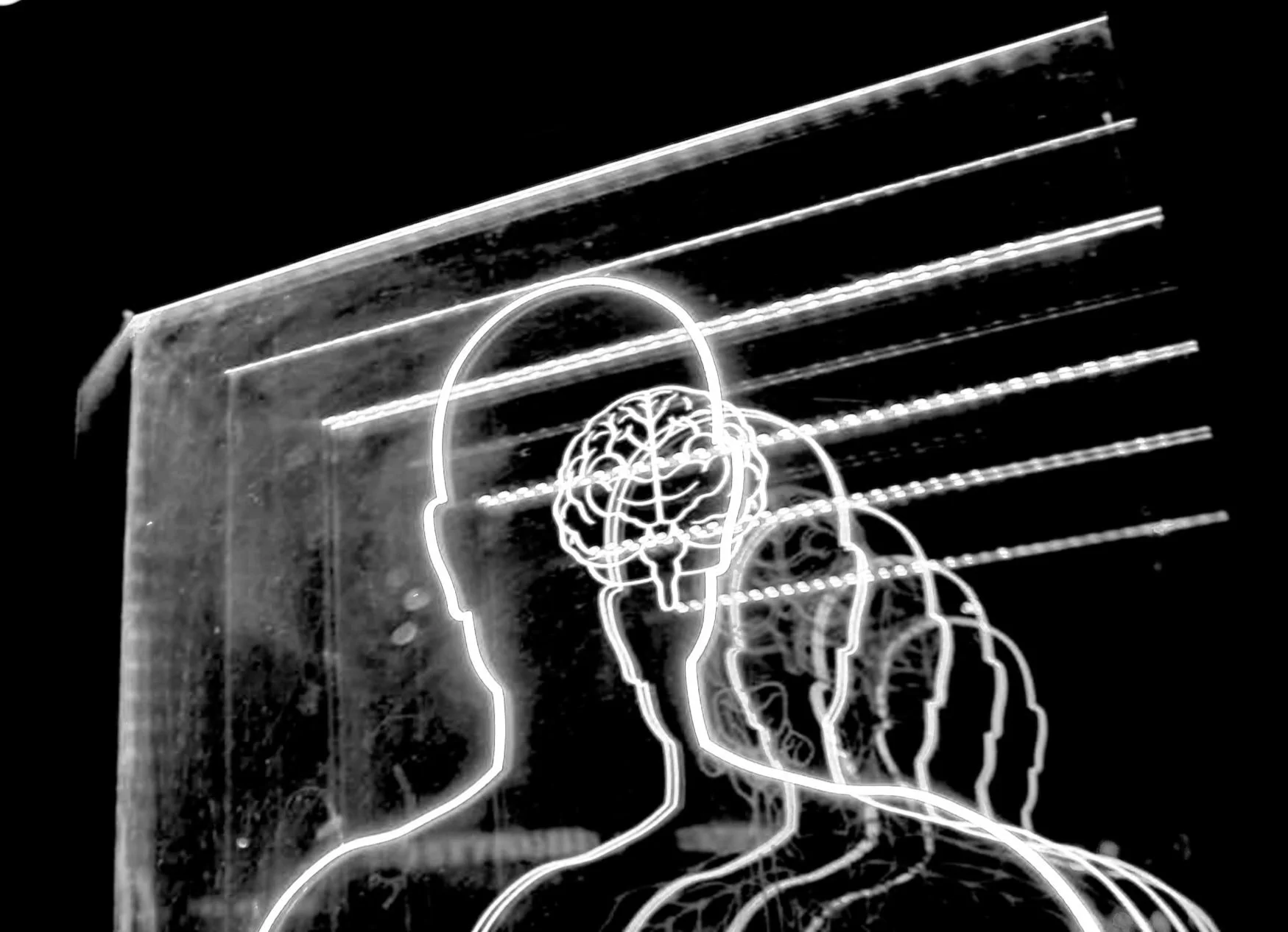 Small Business Lawyer NYC - Adam Yohanan