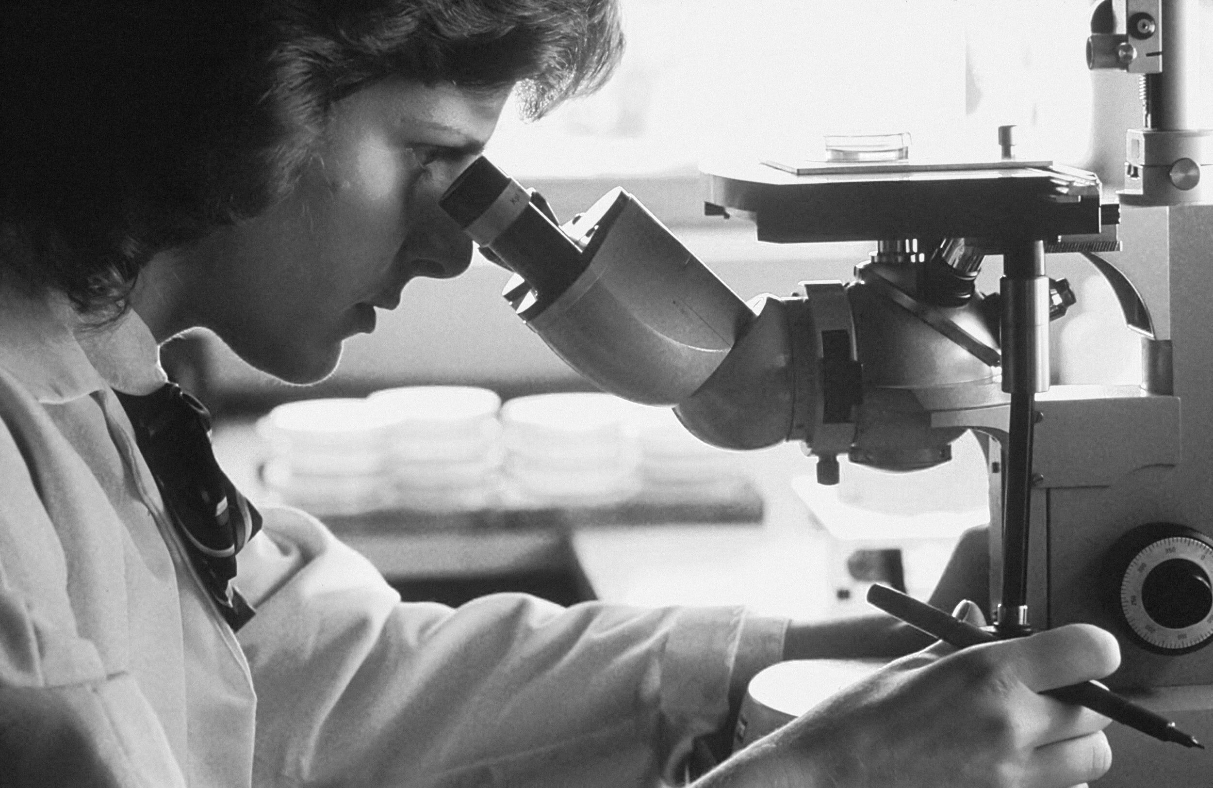 Adam Yohanan: Small Business Lawyer NYC - Yohanan Law