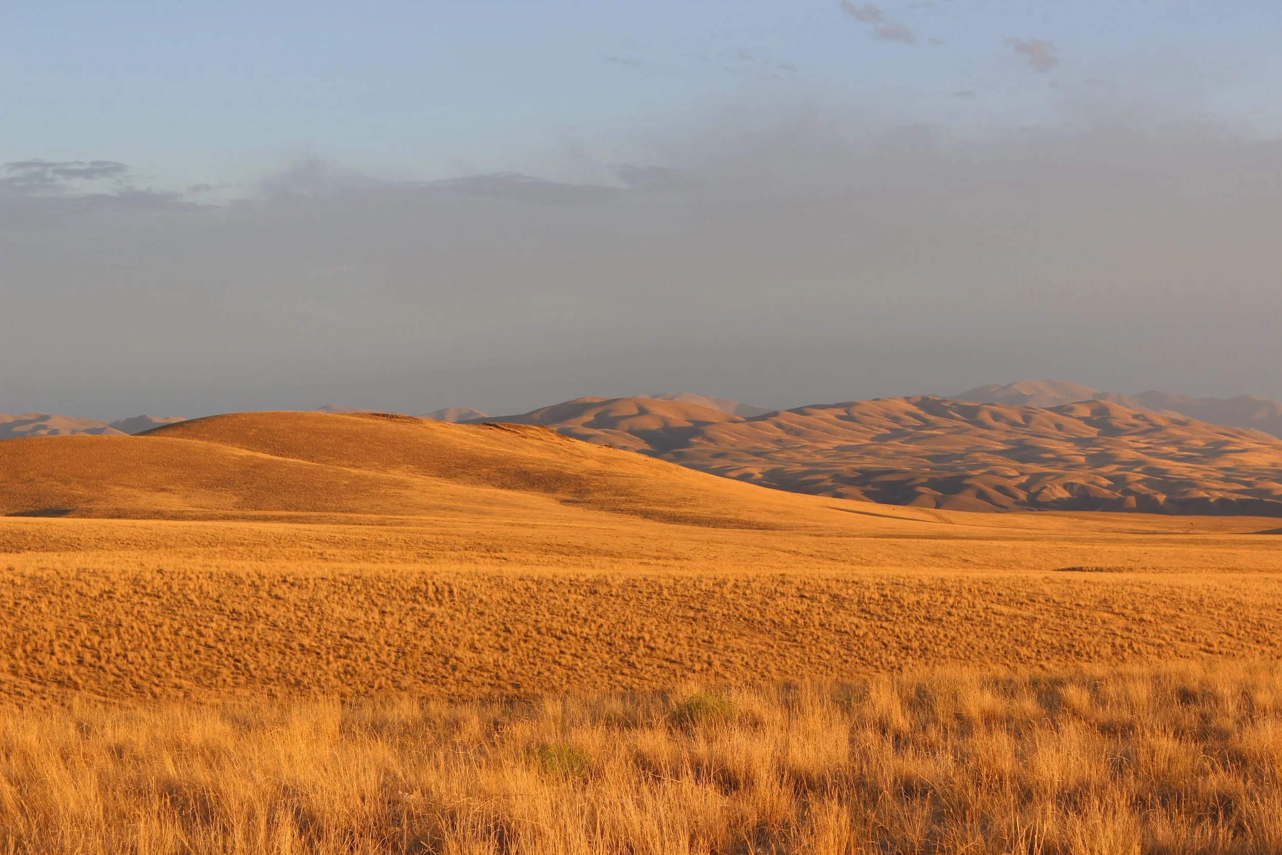 Western Level Advisors