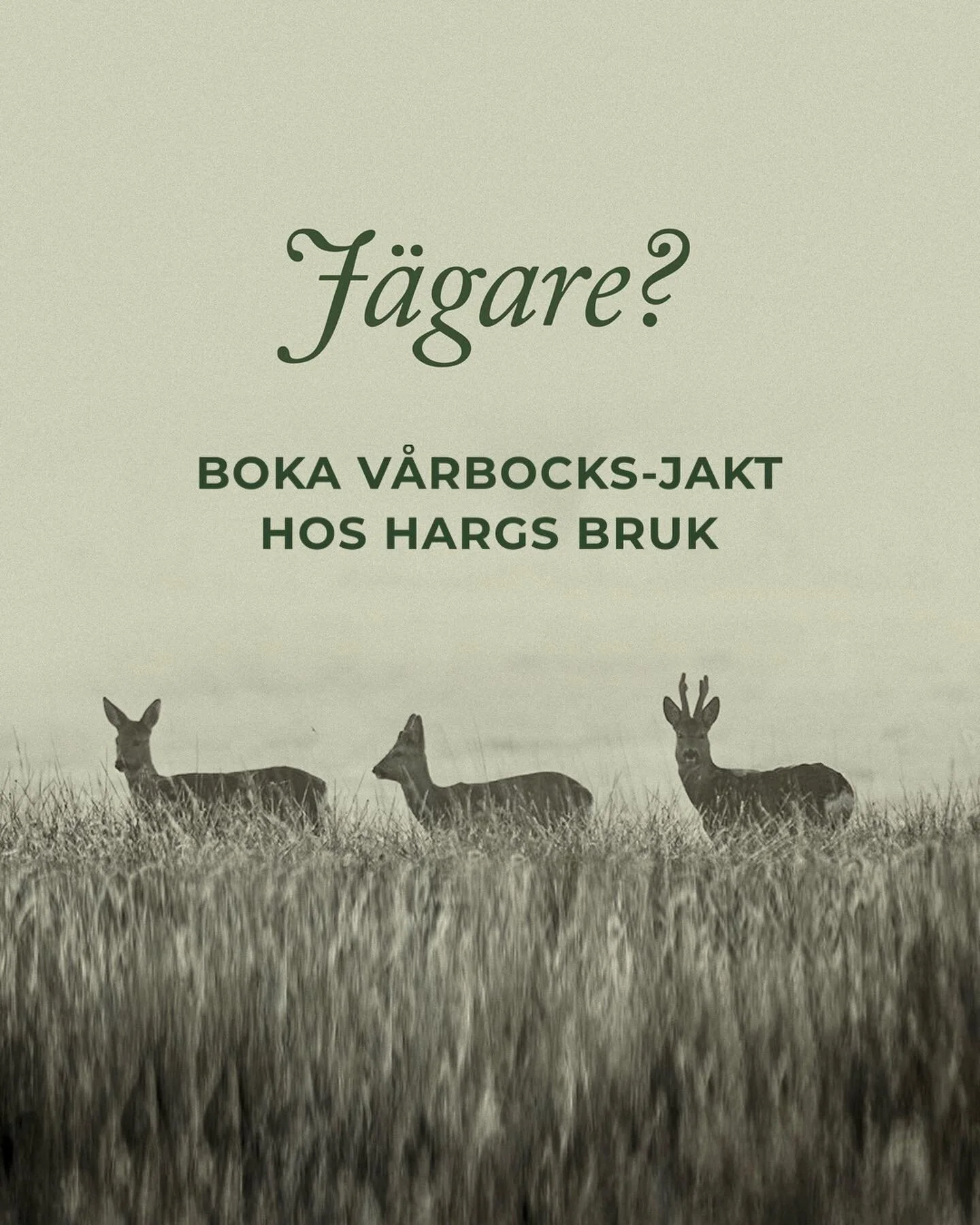 Hargsbruk