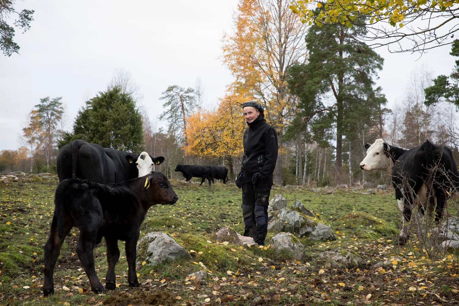 Lantbruk — Hargsbruk