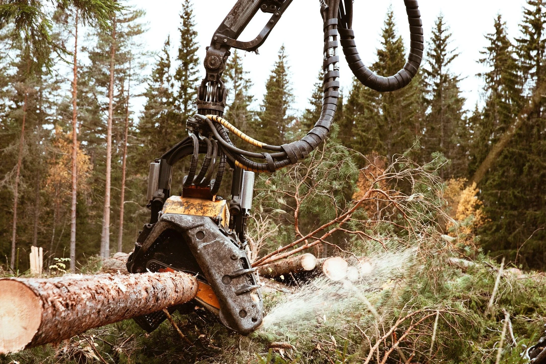 Lediga tjänster — Hargsbruk