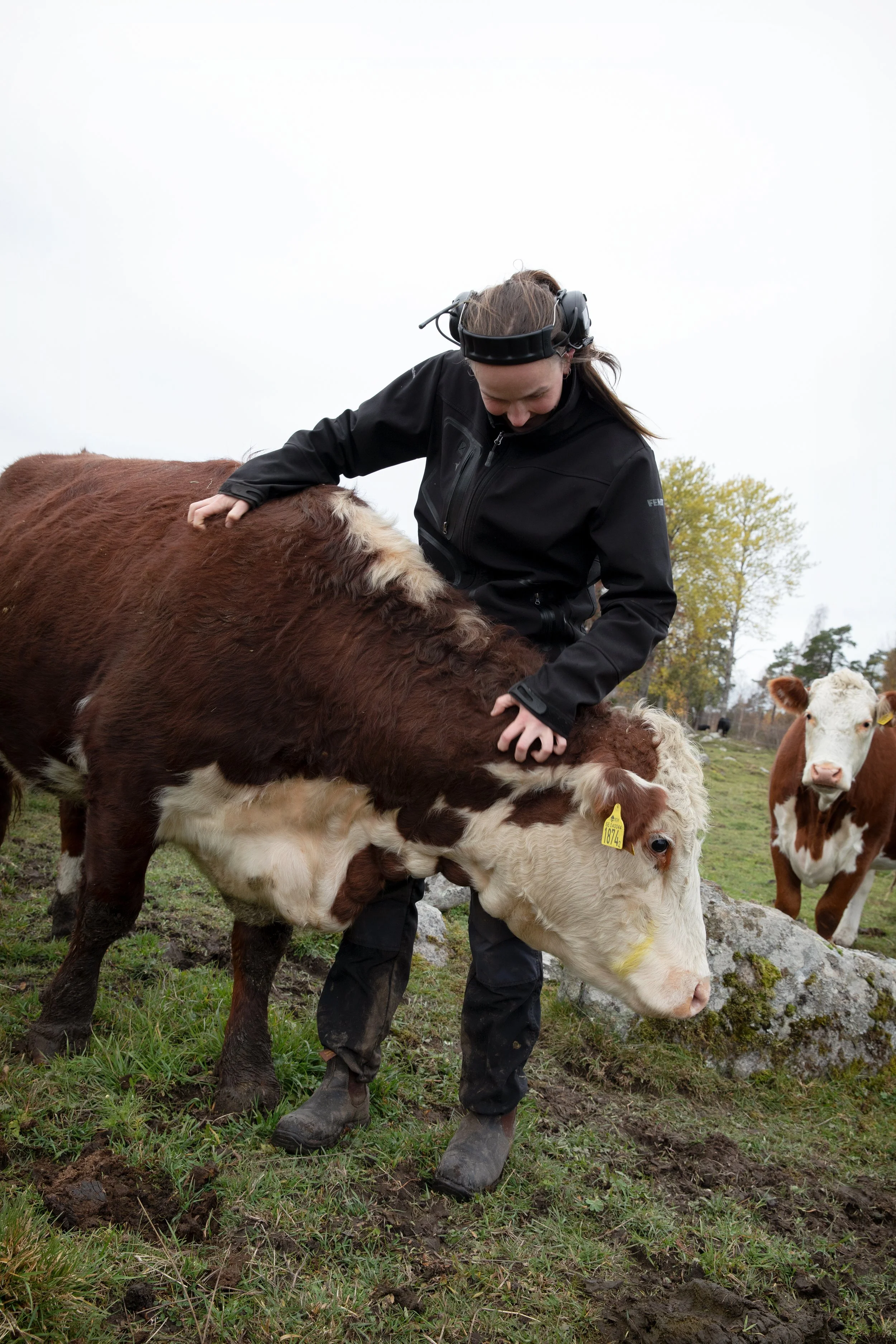 Lantbruk — Hargsbruk