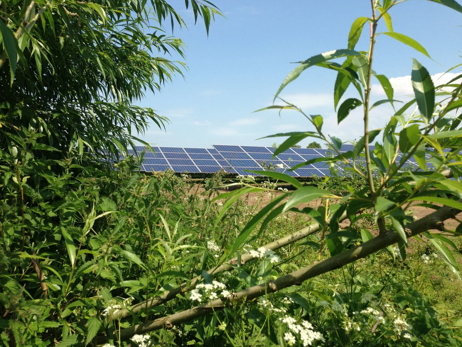 Support Bluestone Solar Farm — Bluestone