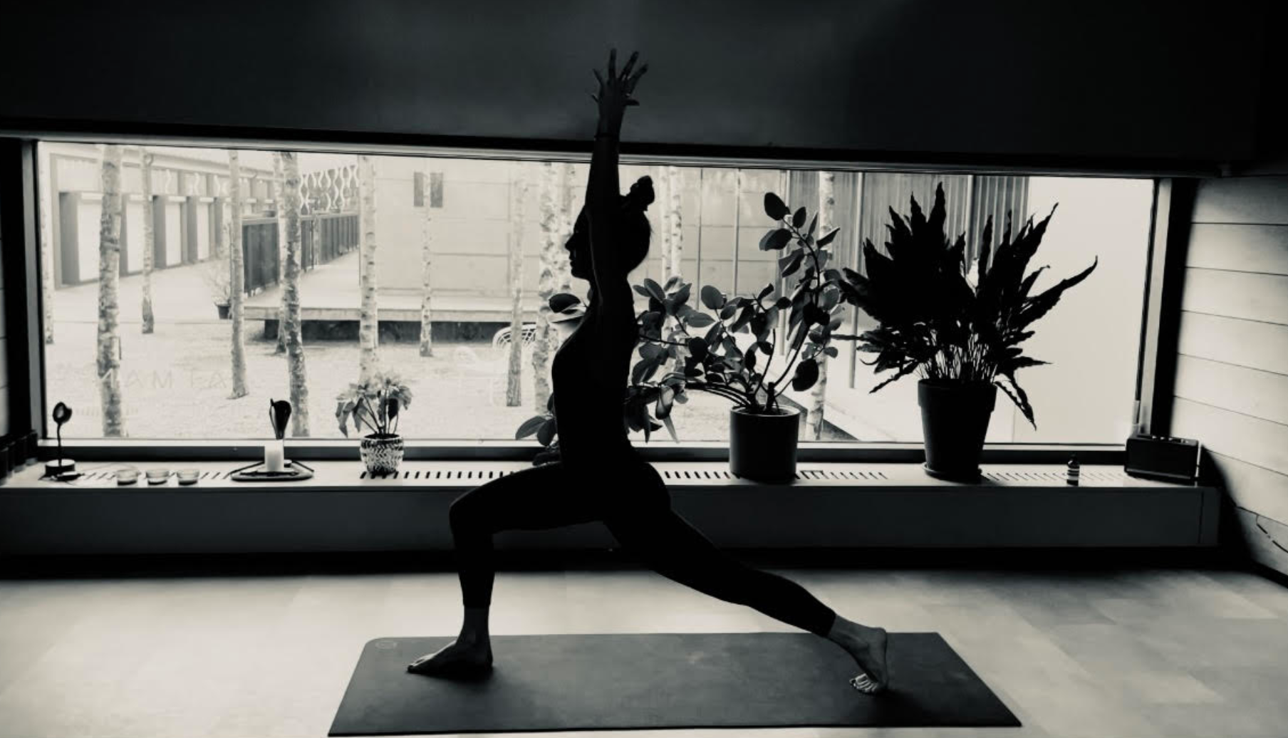 VINYASA YOGA — Atman Studio Zürich