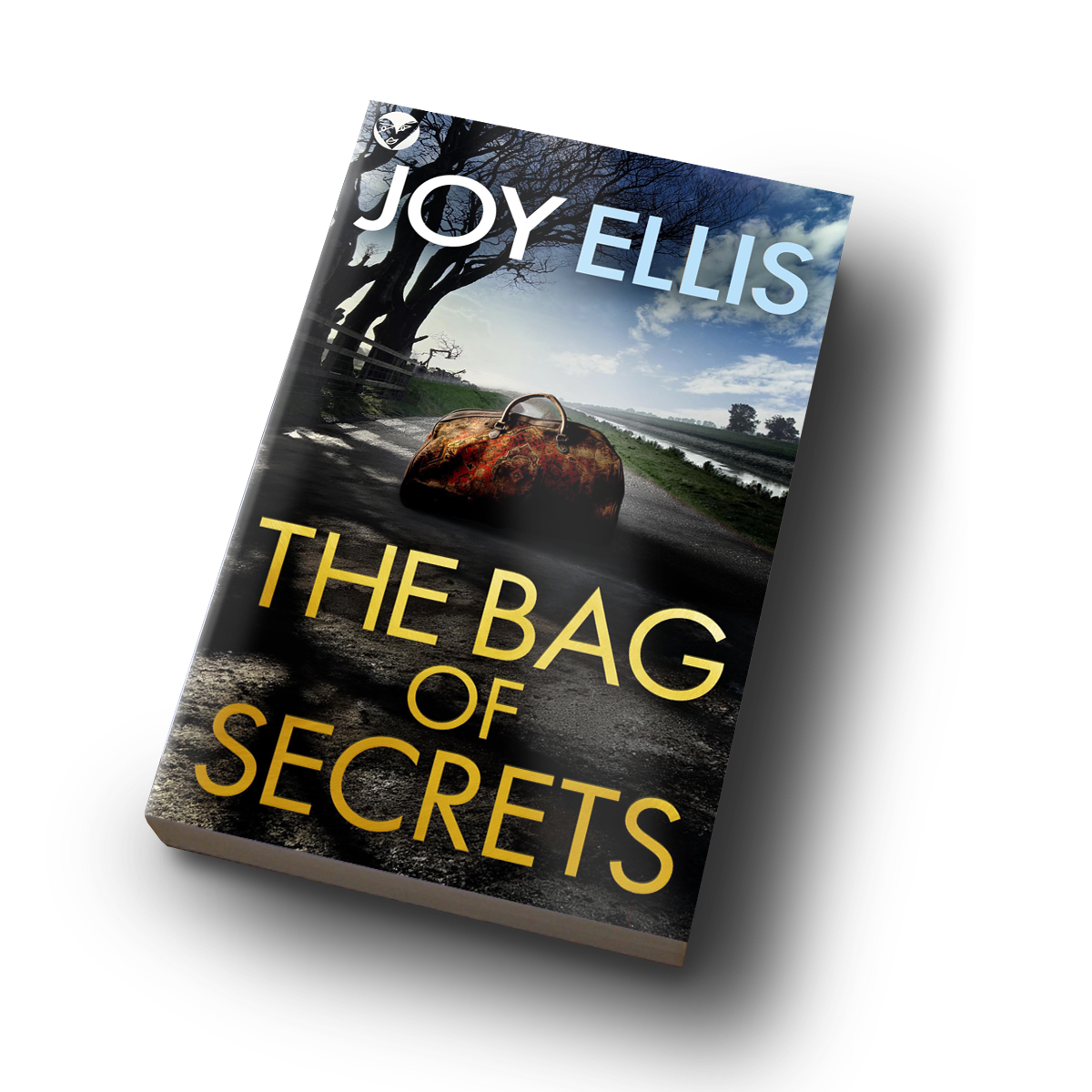 Joy Ellis: English Crime Author