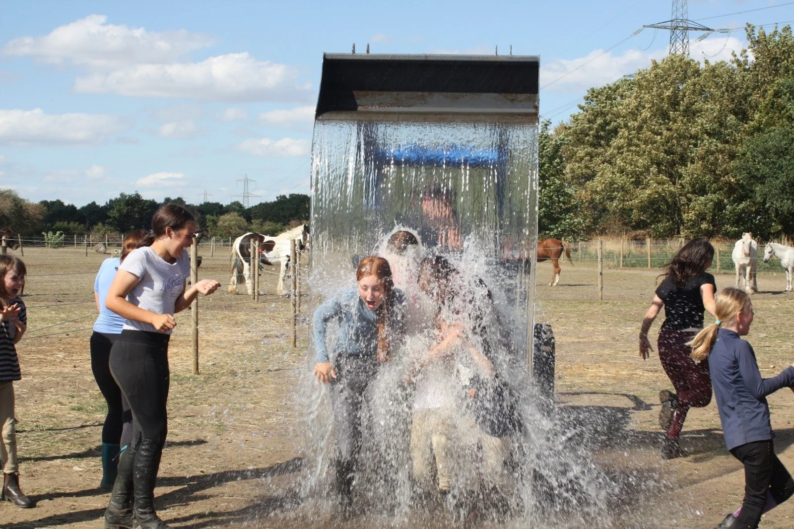 Clubs & Days — Newark Equestrian