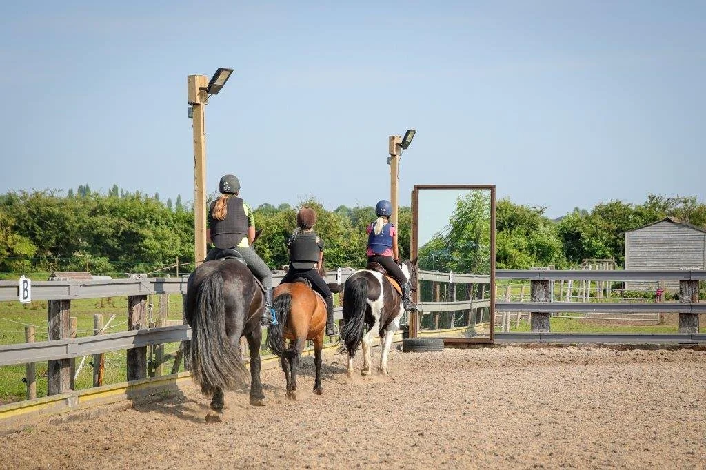 FAQs — Newark Equestrian