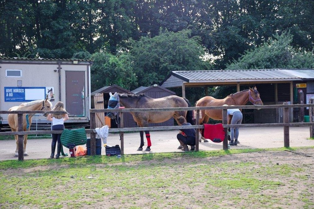 Summer Camp — Newark Equestrian