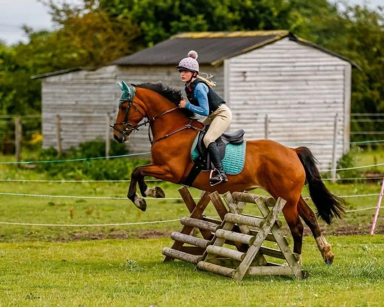Newark Equestrian