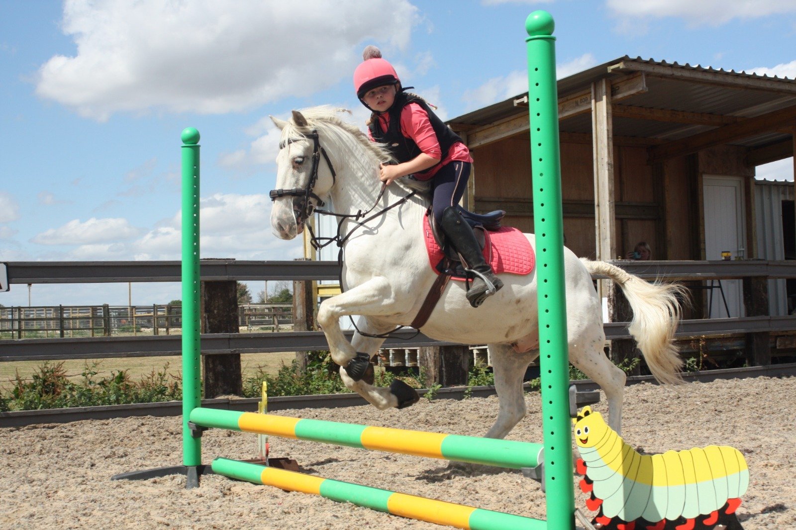 Meet Our Horses — Newark Equestrian