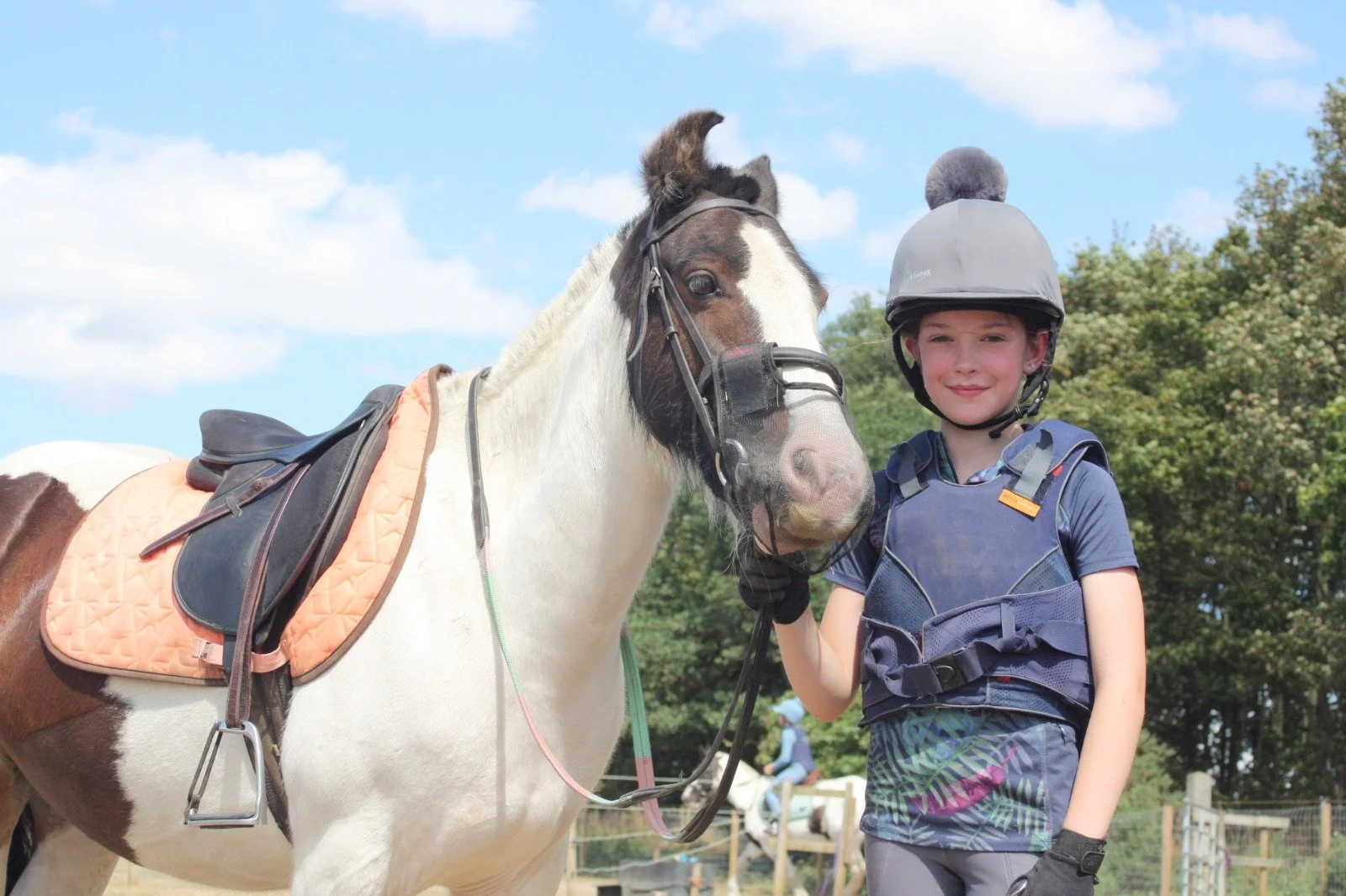 Meet Our Horses — Newark Equestrian