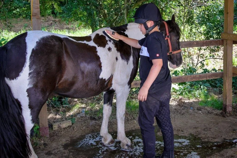 Summer Camp — Newark Equestrian