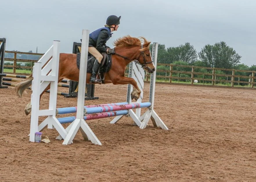 Competing — Newark Equestrian