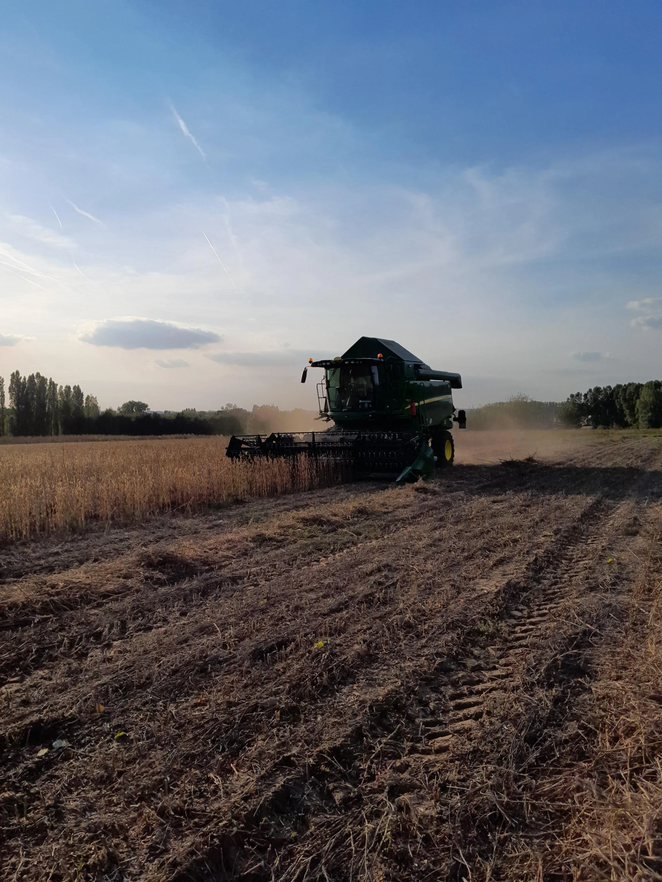 Why protein crops — Protealis