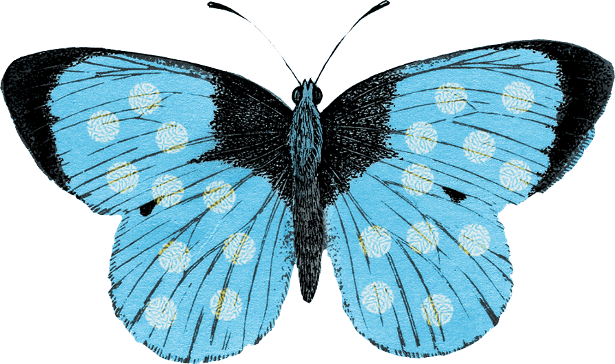Digital Design — Beatnix Graphix