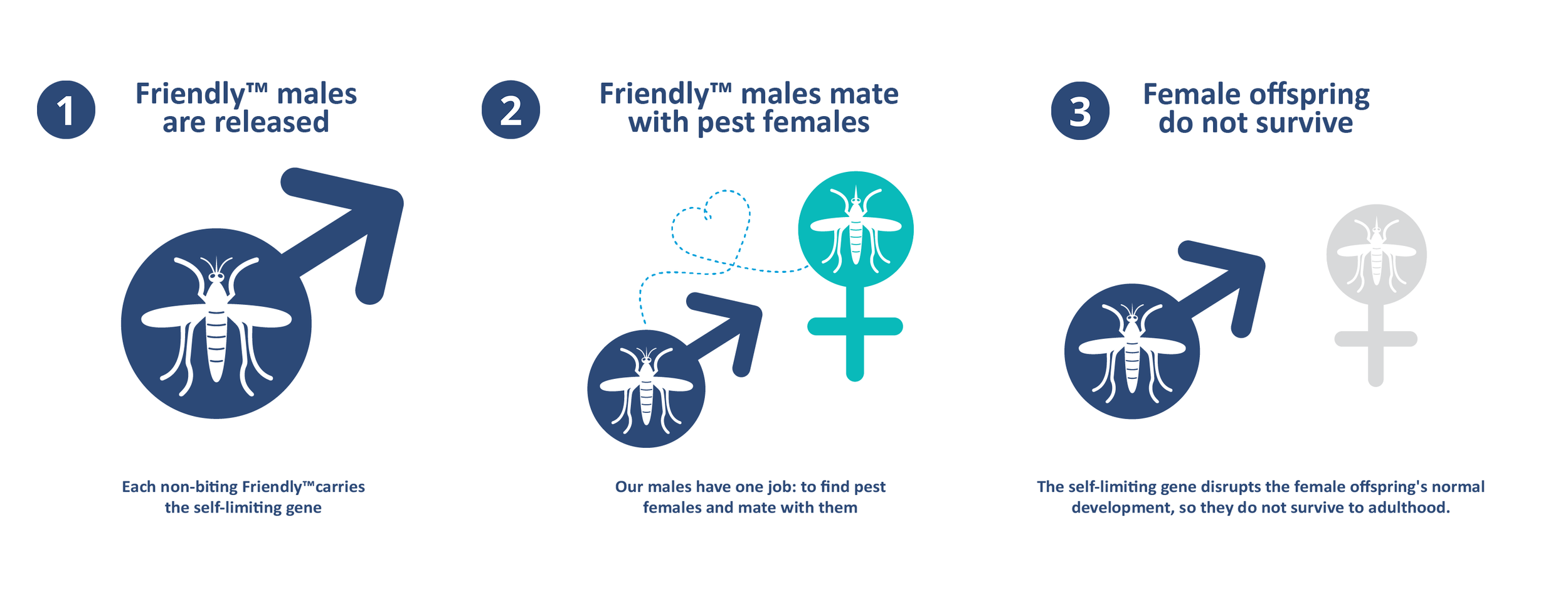 Our Solution — Djibouti Mosquito Project