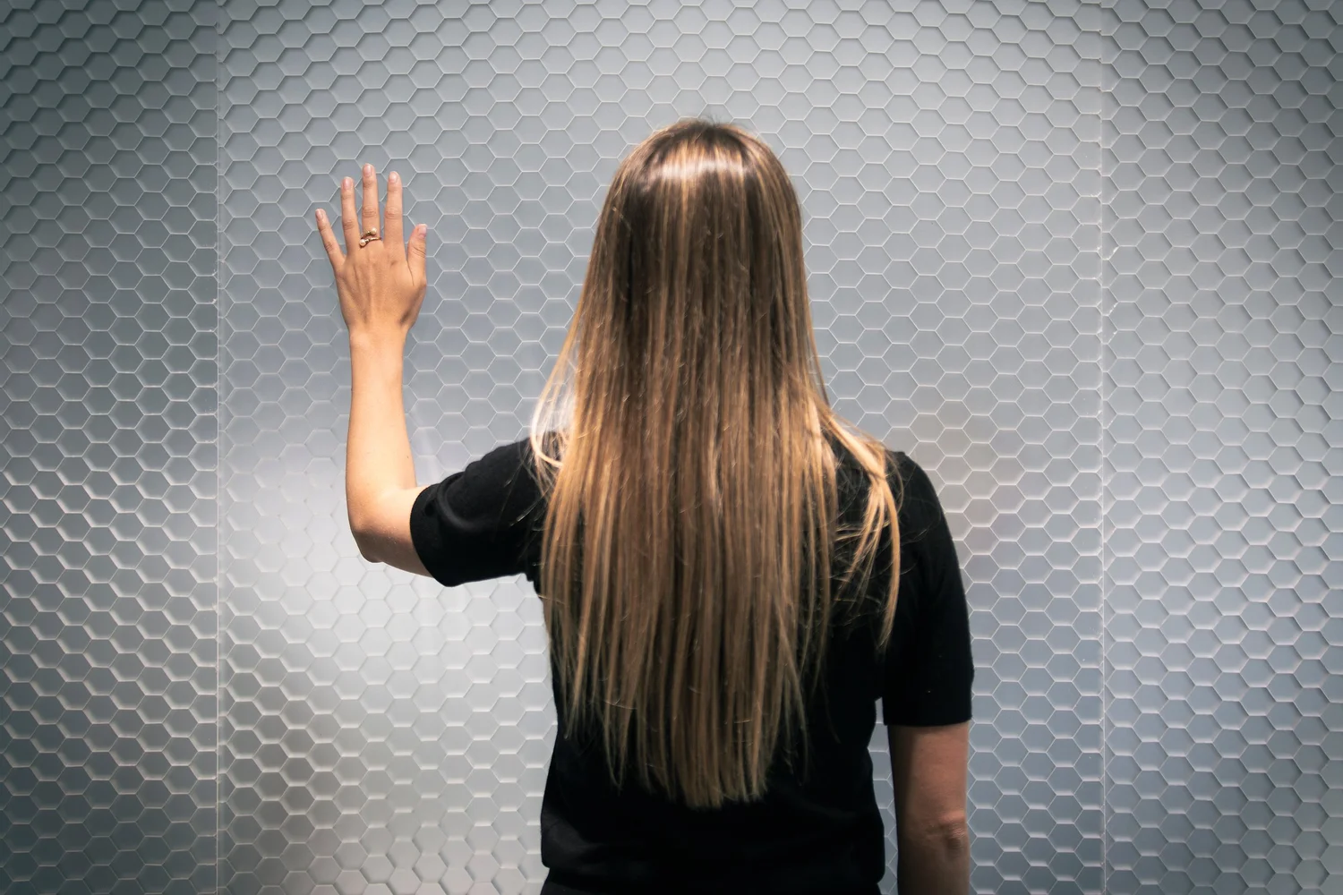 Longevity Lab — TDFK