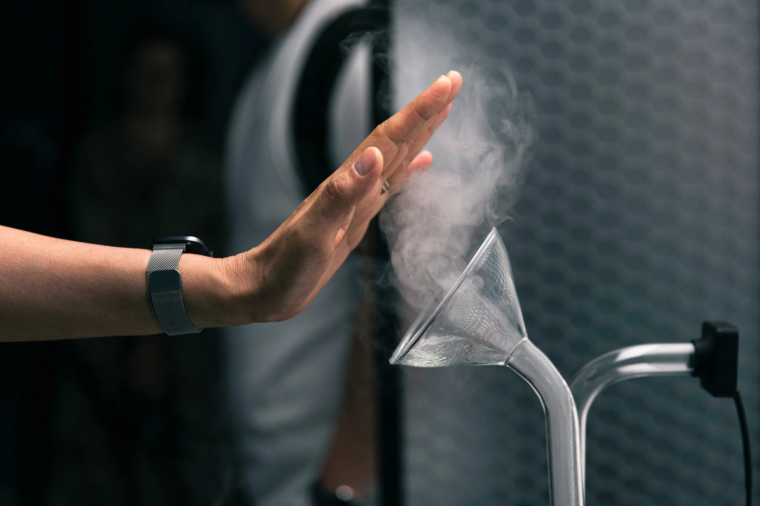 Longevity Lab — TDFK