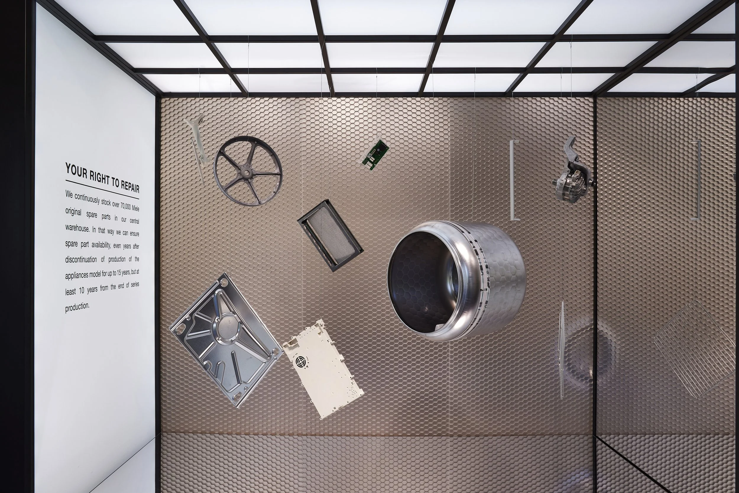 Longevity Lab — TDFK