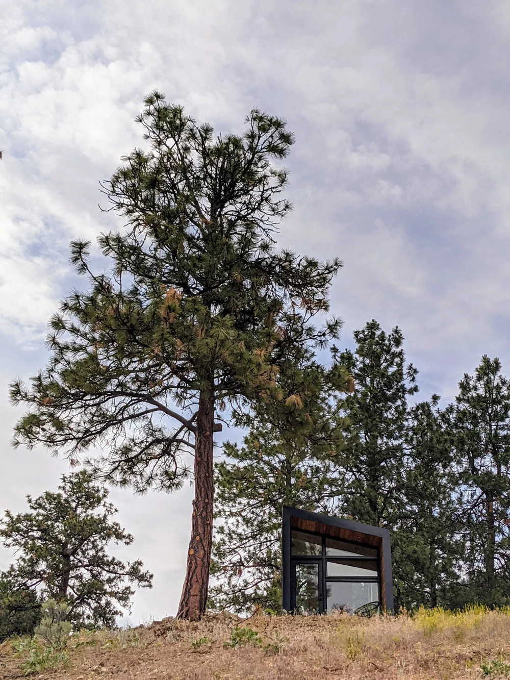 Arlo Mini — Drop Structures