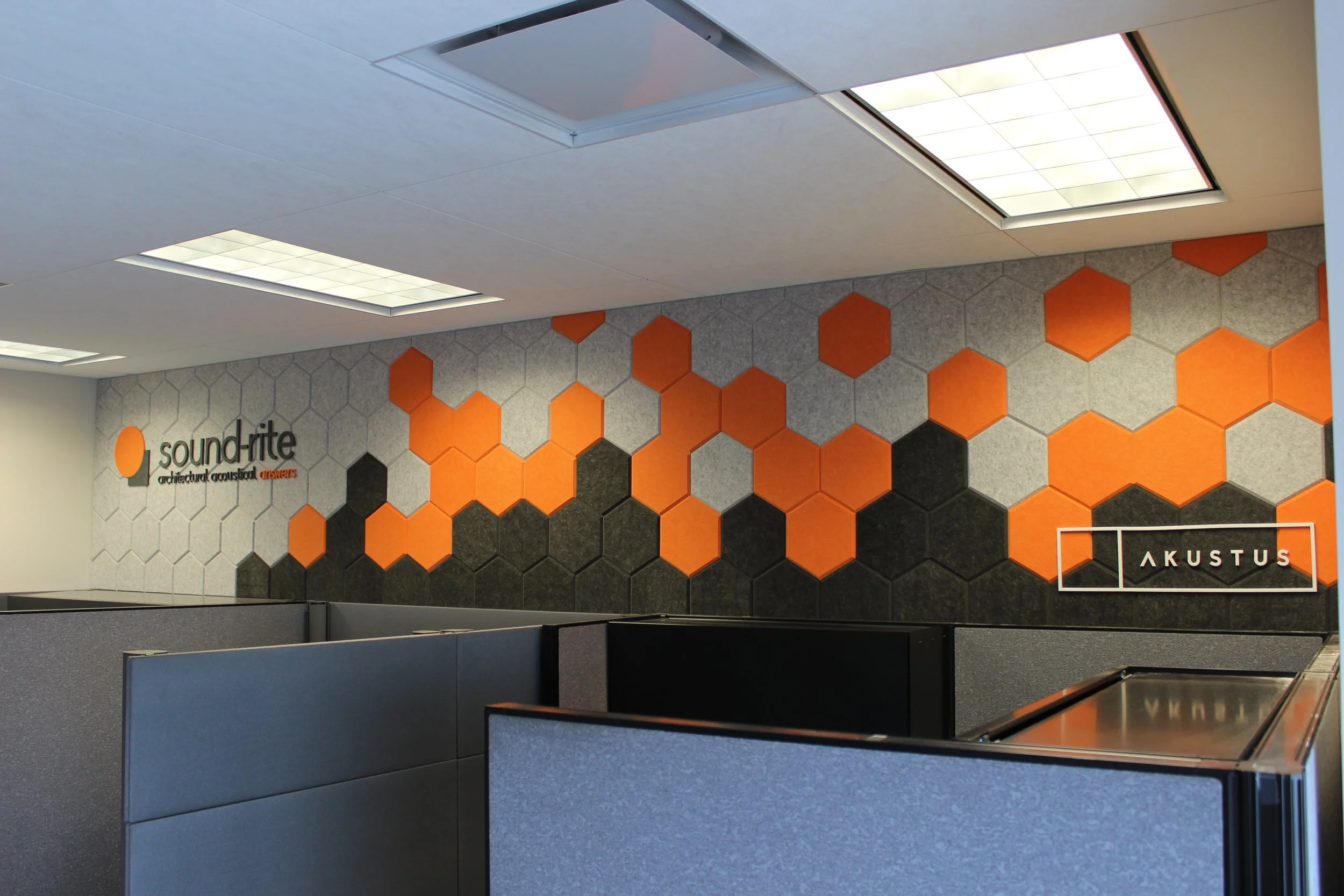 Unique Acoustic Panel Design Ideas for Stunning & Functional Spaces ...