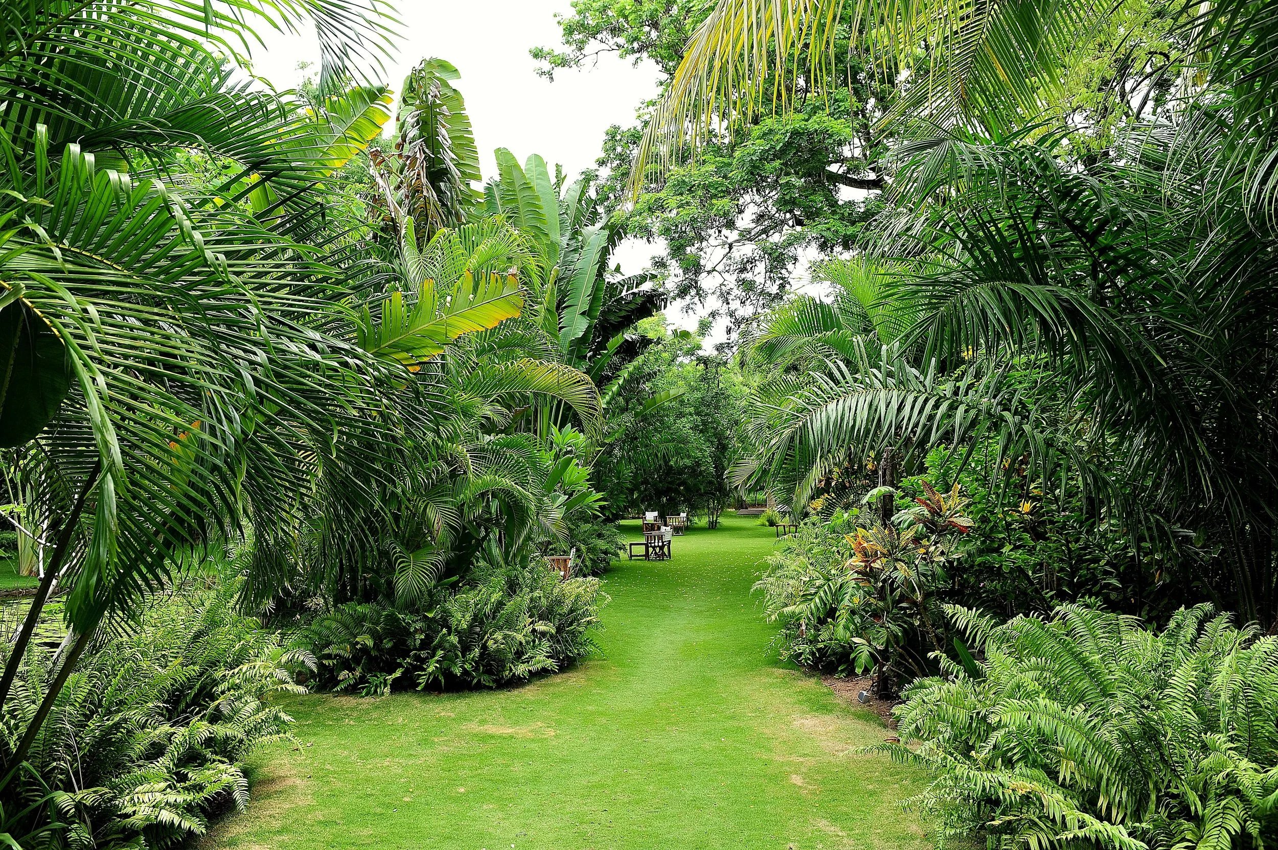 Masoala Forest Lodge & Anjajavy in Madagascar — Craft Travel