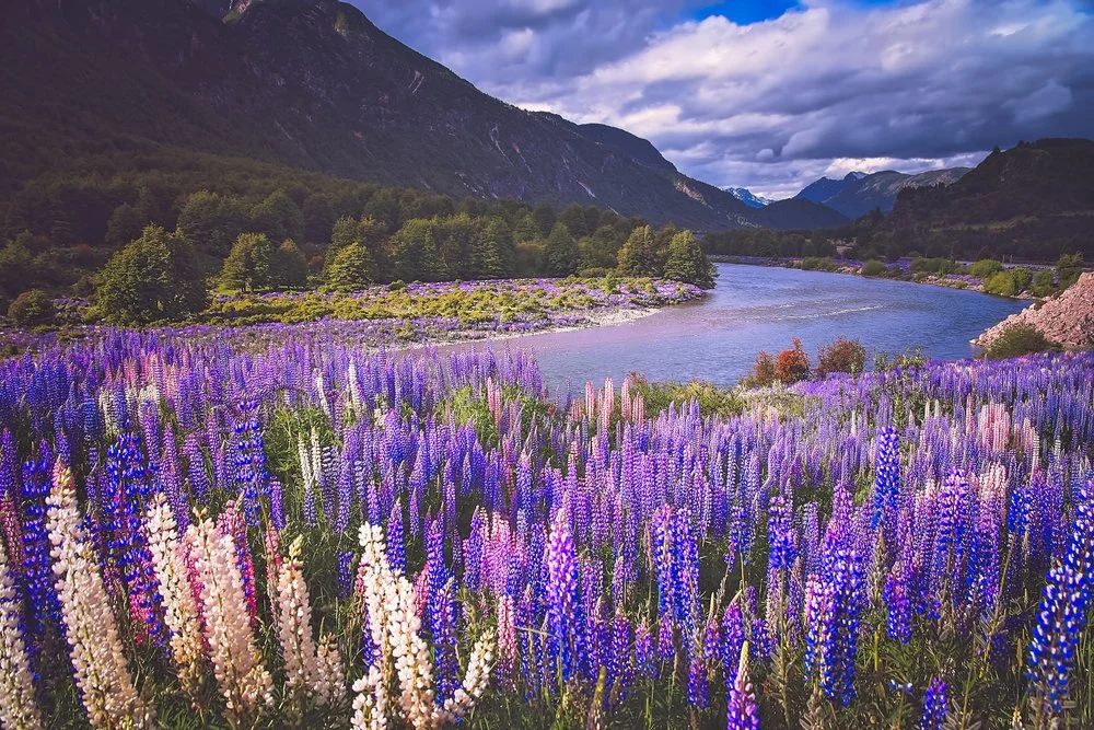 Chile in December - Everything to See & Do — Craft Travel