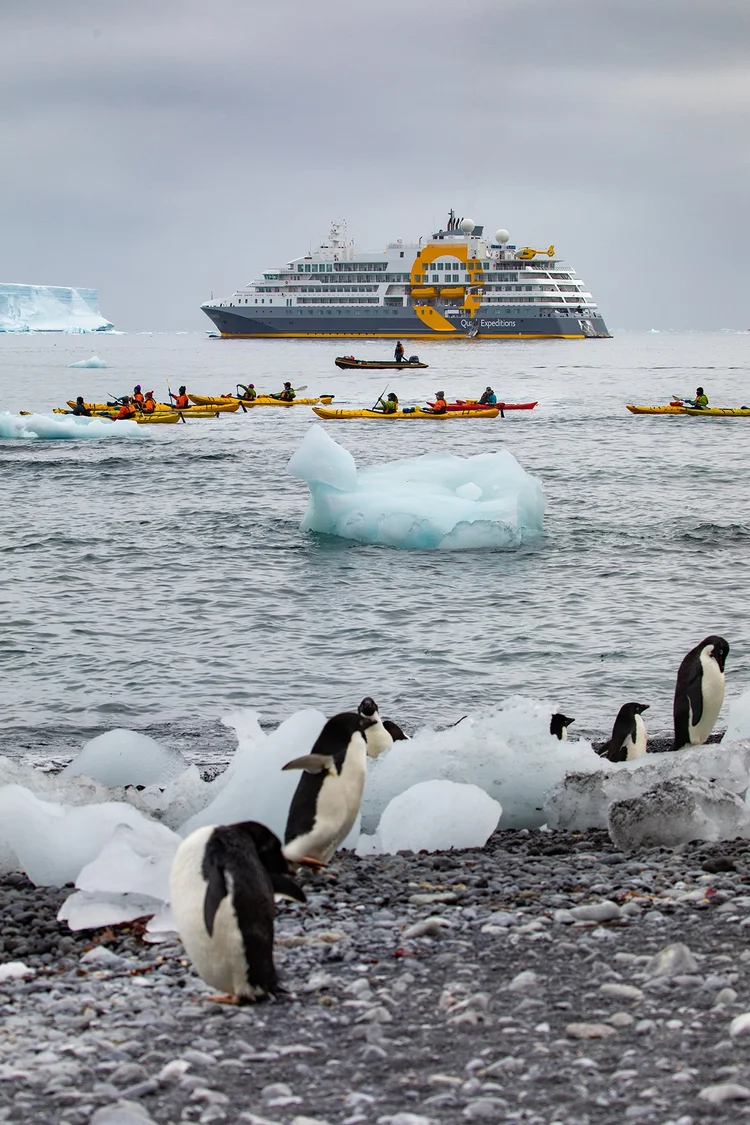 Quark Expeditions Cruises & Expeditions | Craft Travel