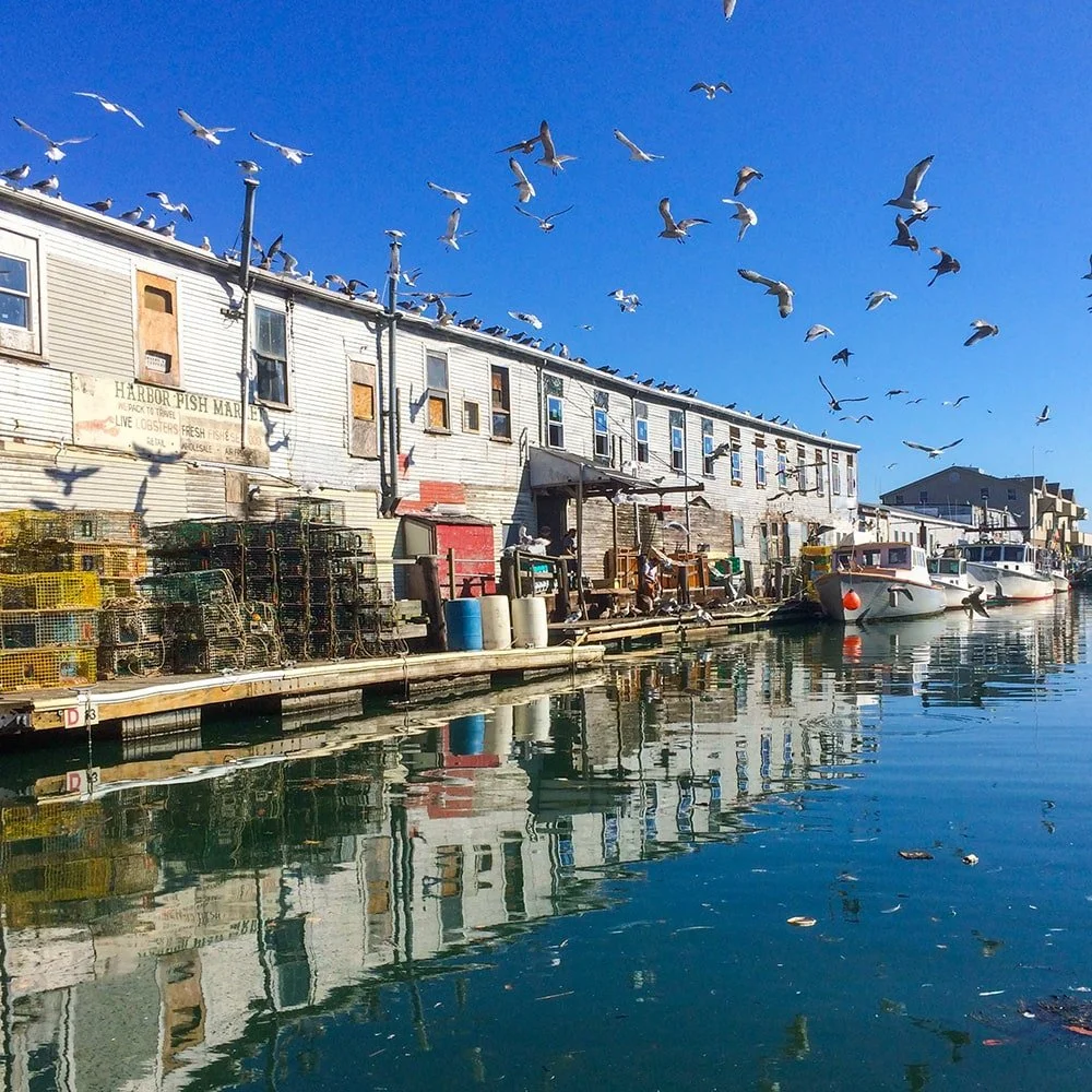 Savor the Taste of Maine: Fresh Local Foods — CV Wellbeing