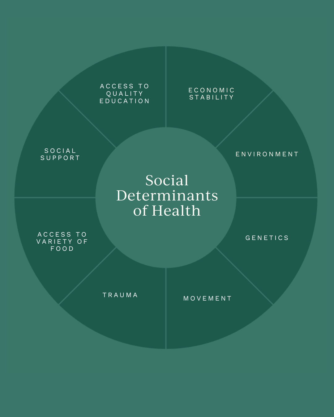 Redefining Well-being: Exploring Social Determinants of Health ...