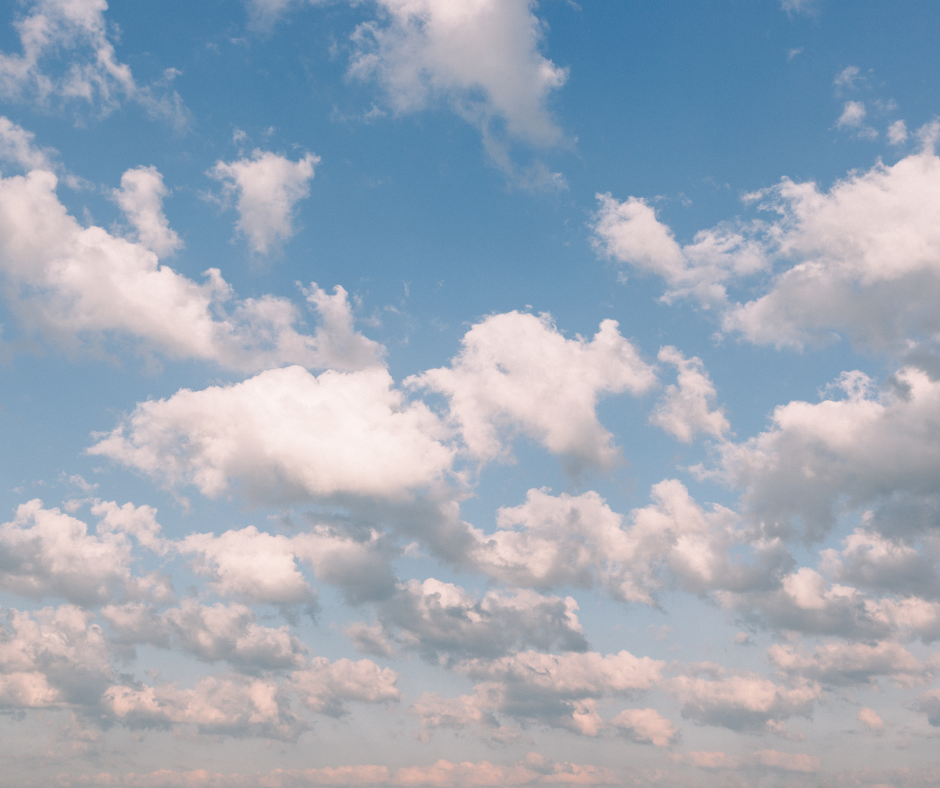 Optima Login — Coastal Plain CASA