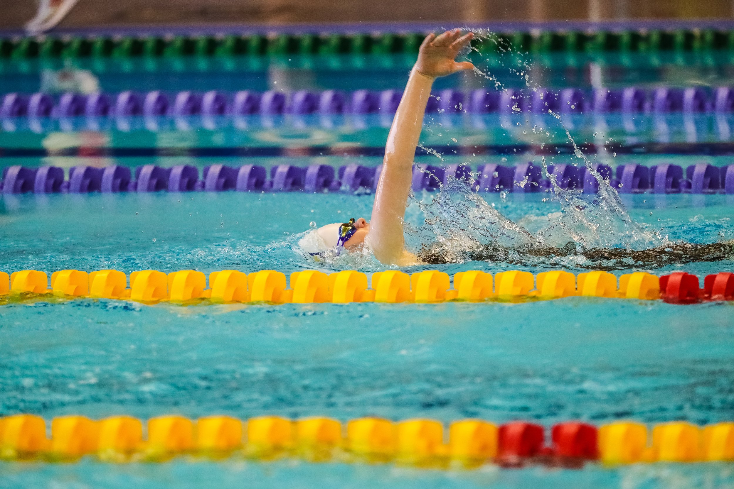 Swimming photographer — Matt Davenport Photography