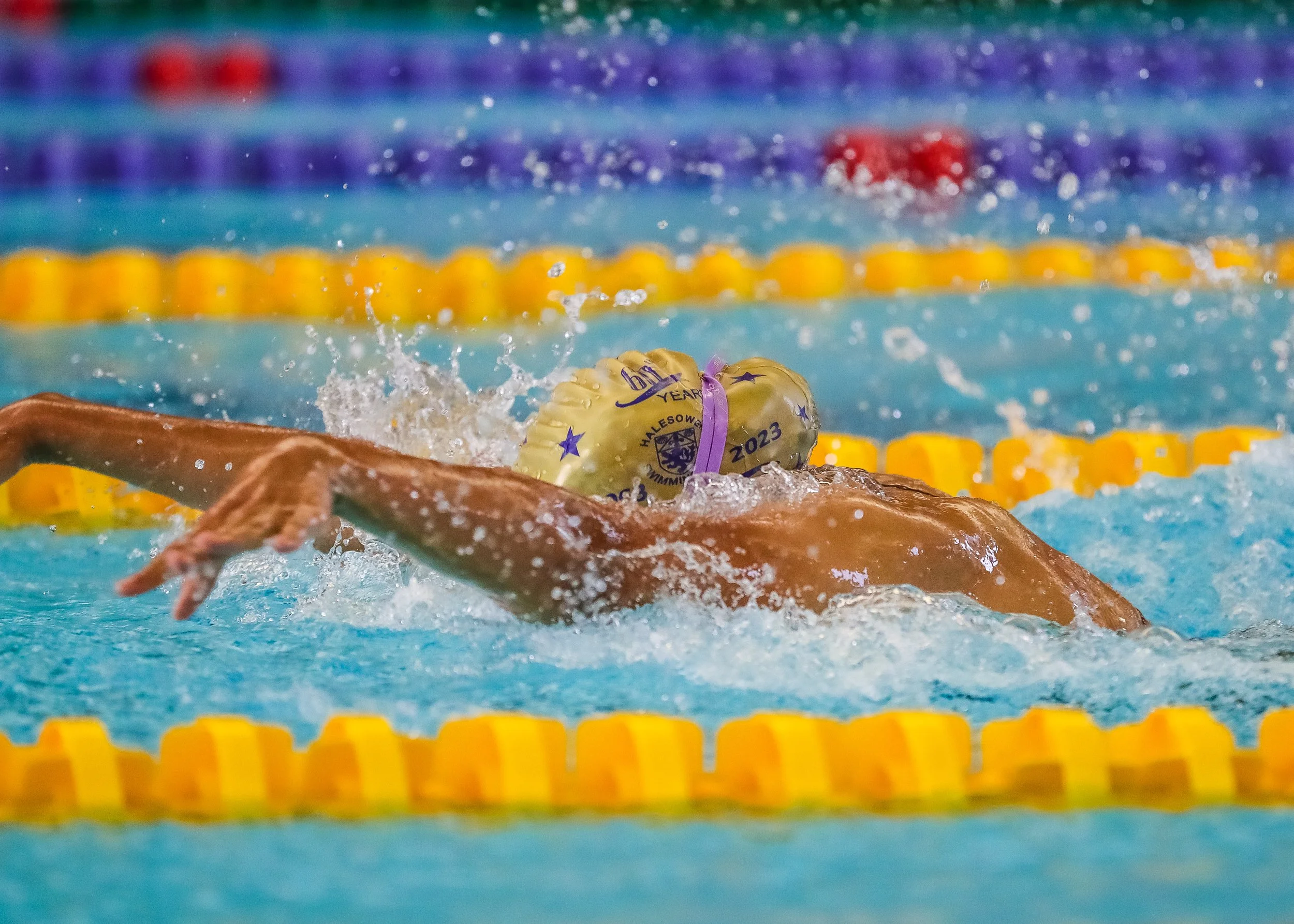 Swimming photographer — Matt Davenport Photography