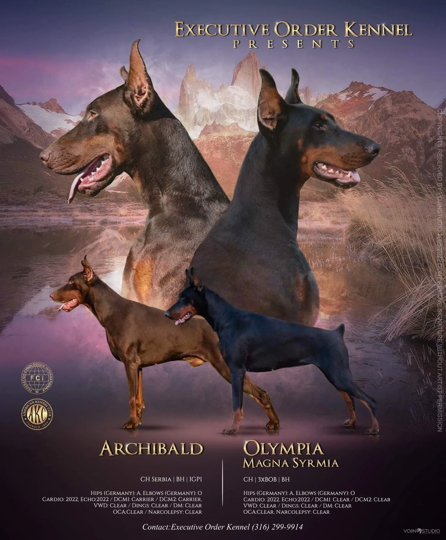 European Doberman Puppies