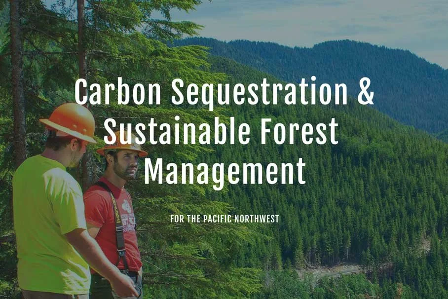 Forest Management — Janicki Logging Co.