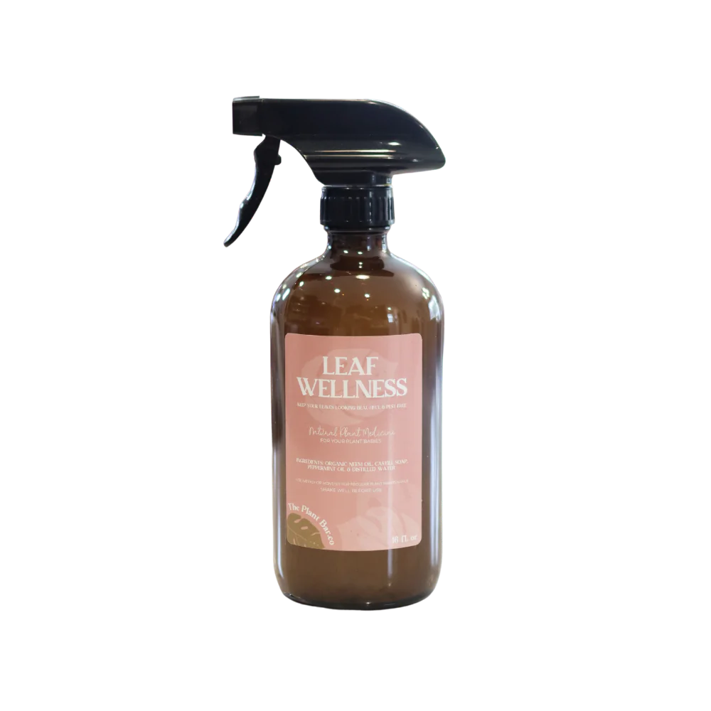 Bio Link — House + Plant