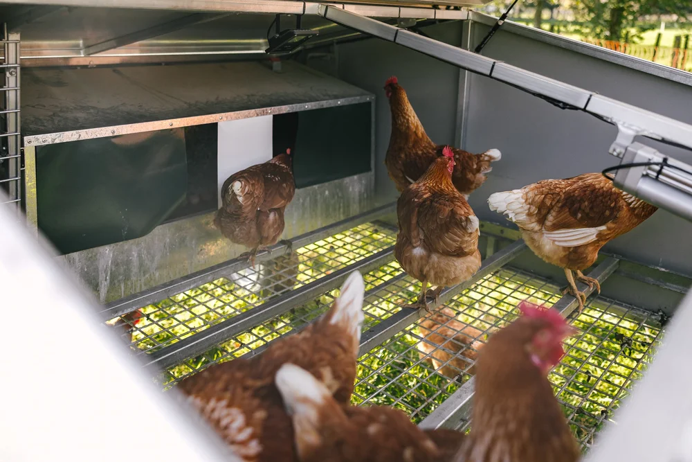 General 2 — Pastured Poultry Equipment