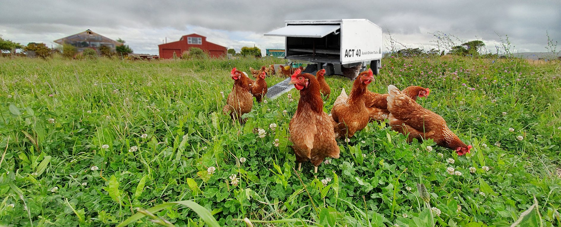 Pastured Poultry Equipment