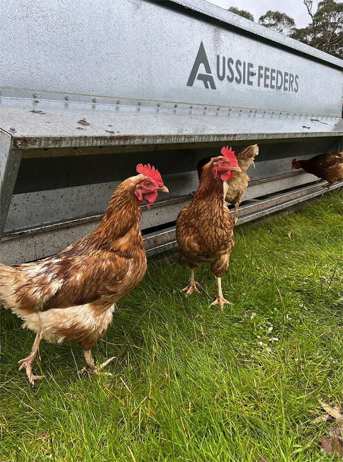 General 2 — Pastured Poultry Equipment