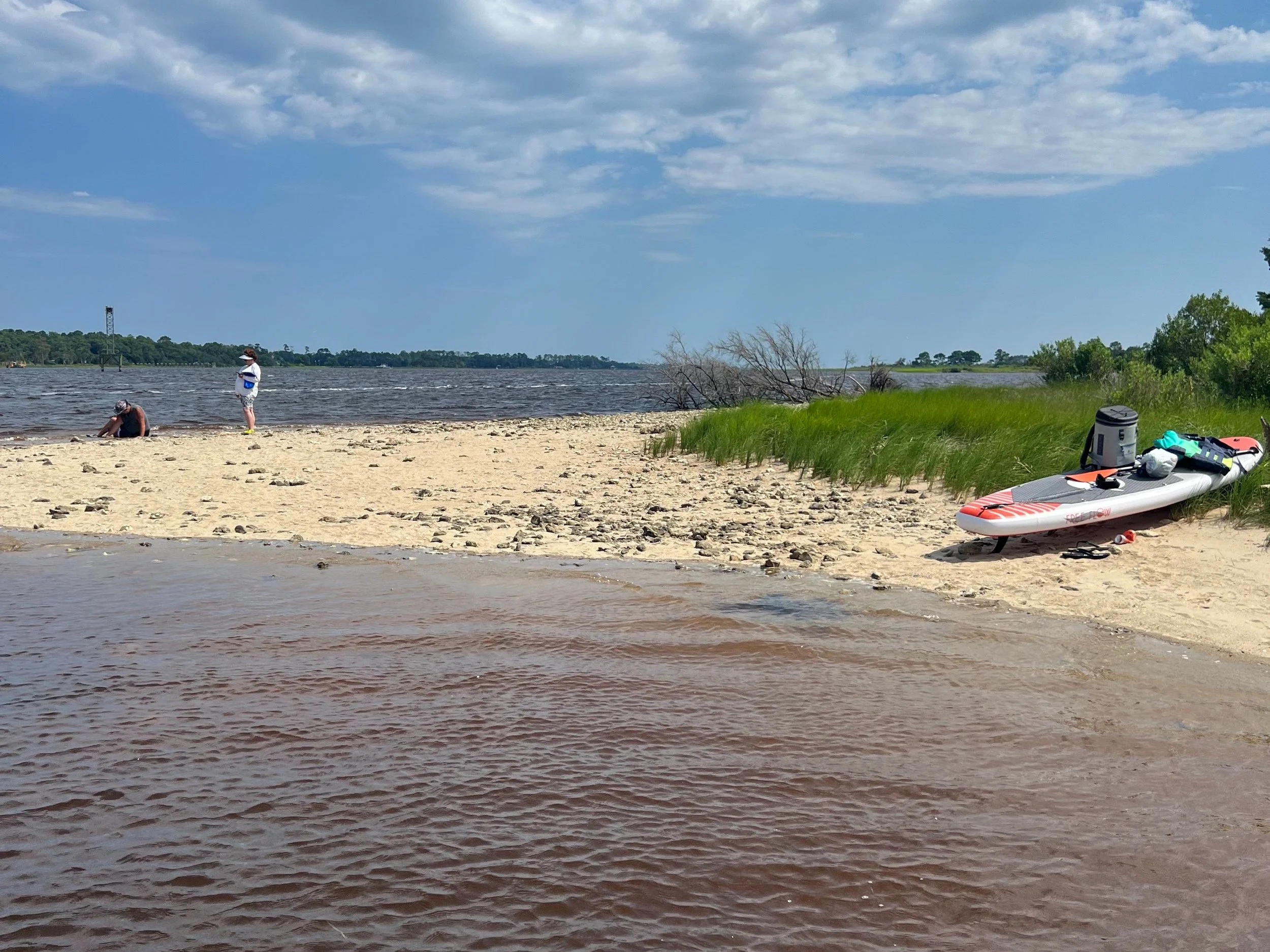 Discovering Fossil Treasures: Shark Tooth Island on the Cape Fear River