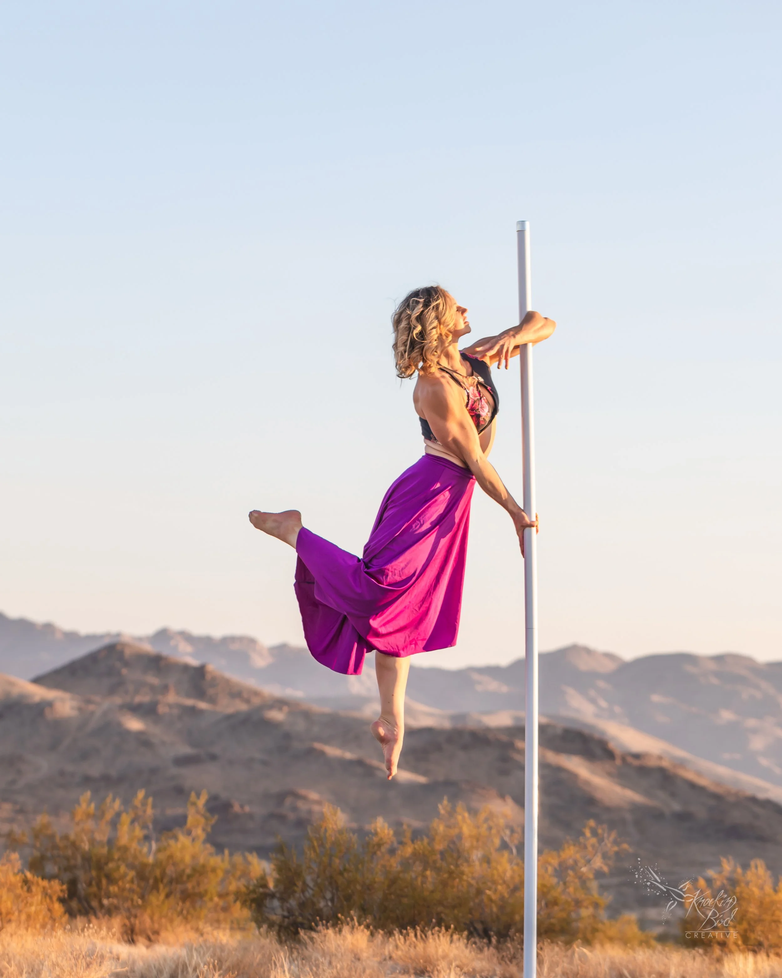 Retreats — Pole + Dance Studios