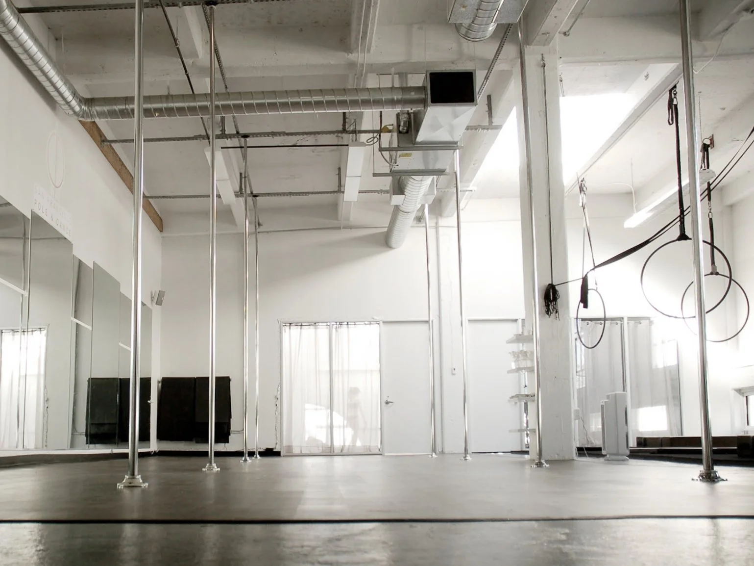 Rent Our Studio Spaces for Private Training — Pole + Dance Studios