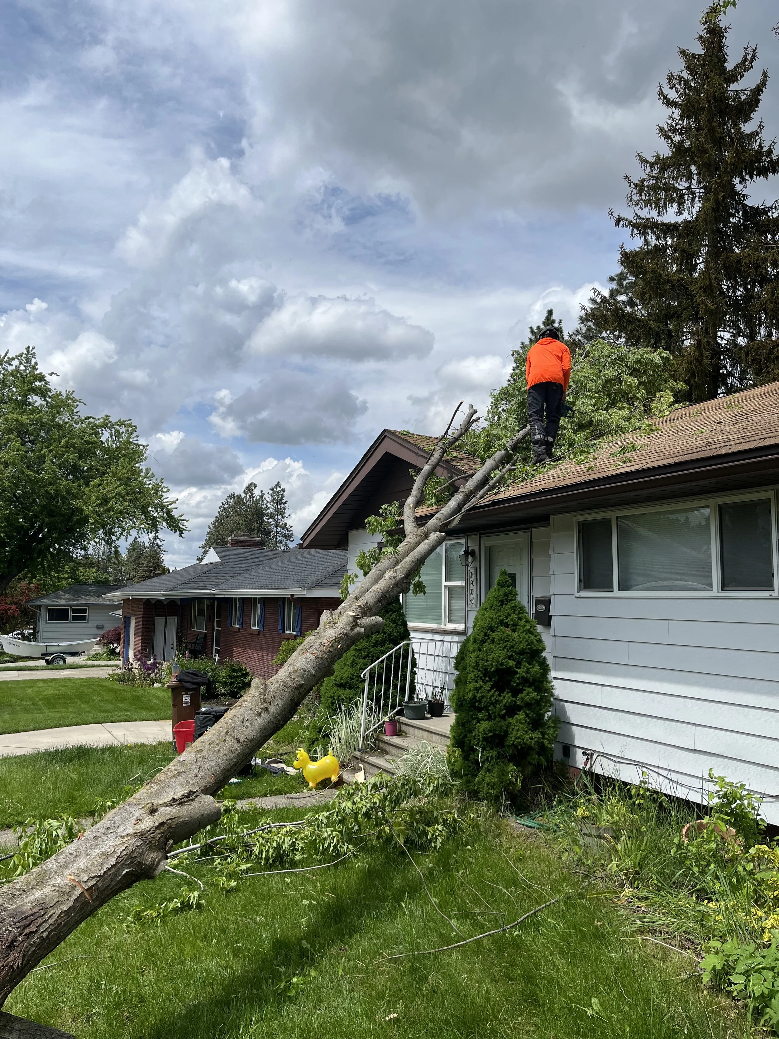 Trailhead Tree Service