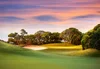 Tim Sheredy Golf Institute