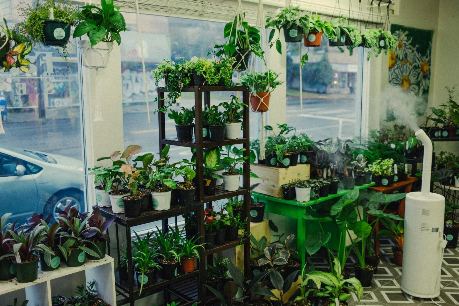 Fancy Plants Seattle