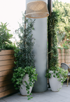 Potted Plants | Faux and Real Plantscapes — Chloe + Mint Productions