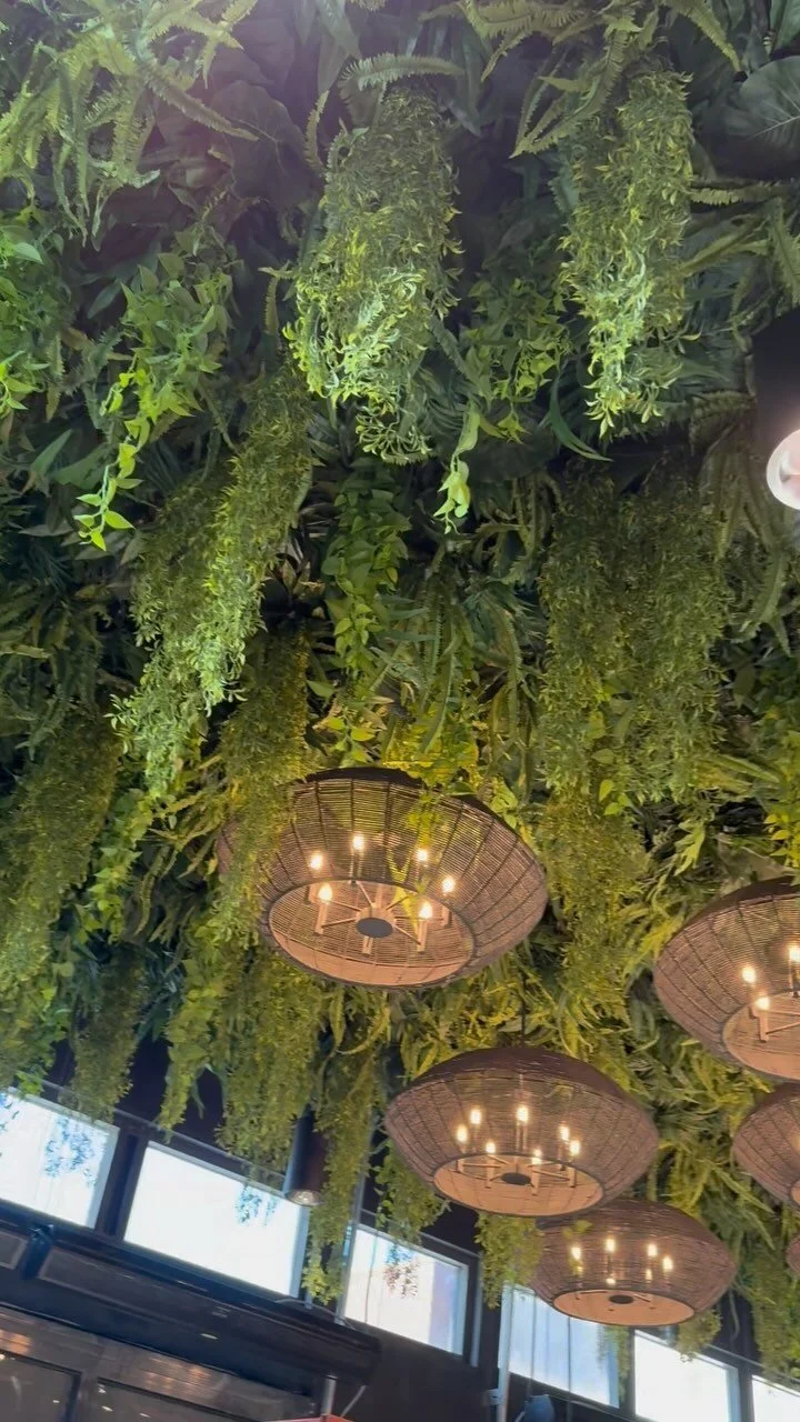 Professional Plantscaping Services | About Chloe and Mint — Chloe ...