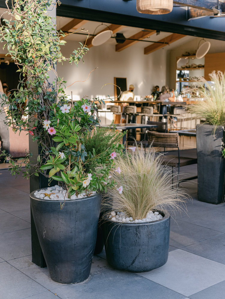 Potted Plants | Faux and Real Plantscapes — Chloe + Mint Productions