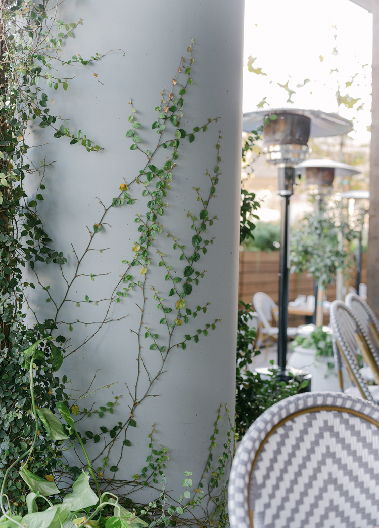 Potted Plants | Faux and Real Plantscapes — Chloe + Mint Productions